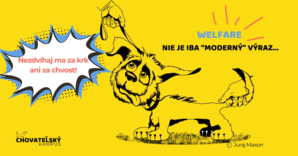 Je zdvíhanie sa chvost a krk bezbolestné a bezpečné?